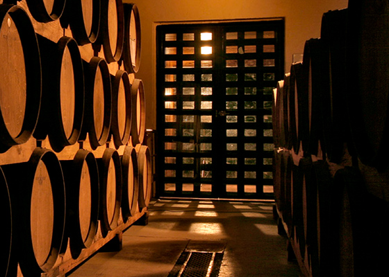 Bodegas - Grupo Peñaflor